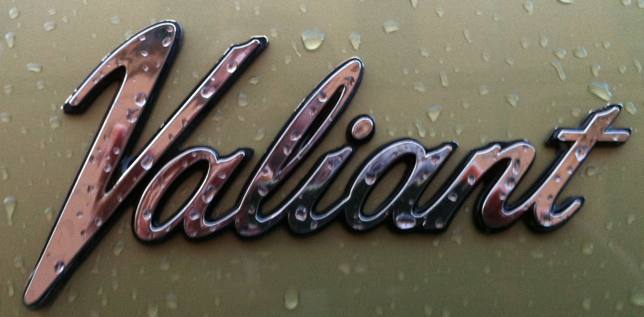 2015 Word of the Year: Valiant | Nicole Evelina – USA Today Bestselling ...